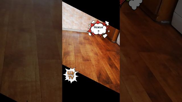 Ёжичек и ножичек. #Ёжик #ЁжиФедечка #Ёж #ЛеснойЁж #Ёжичек