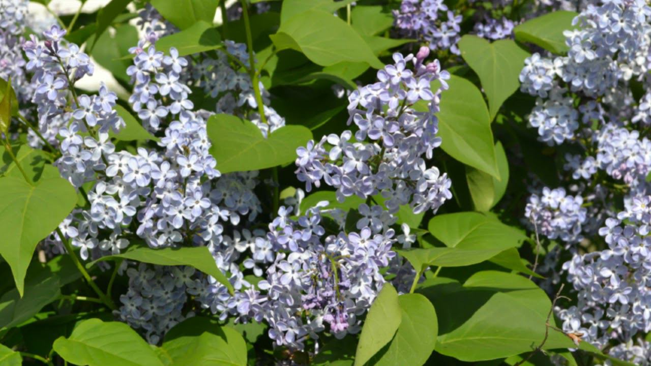 Природа. Фото