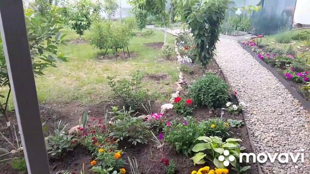 28.05.24. Декор кашпо. Выкопали чеснок. Тыква или кабачок?