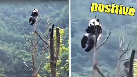 Очередная доза позитива для поднятия настроения #14