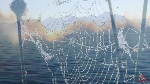 Изречения св. Антония Великаго и сказания о нем часть 21.mp4