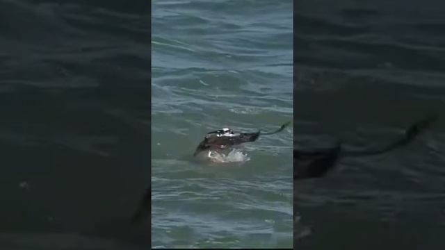 Рыбак Настоящий 😀😀