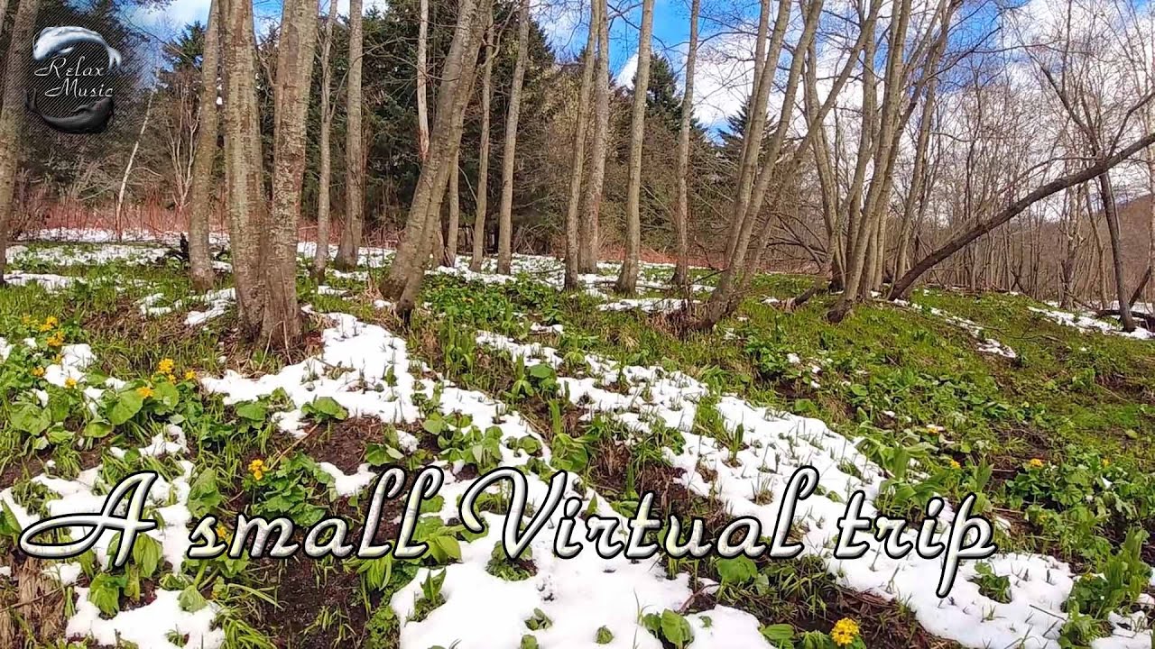 Музыка для отдыха и снятия стресса со звуками природы / Виртуальная прогулка