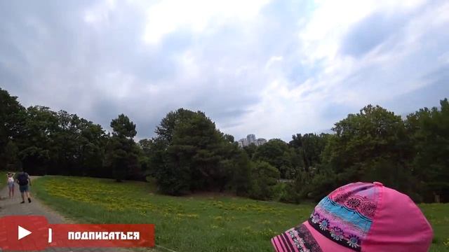 Отдых на чёрном море 2020 _Поездка в Сочи_Дендрарий.mp4