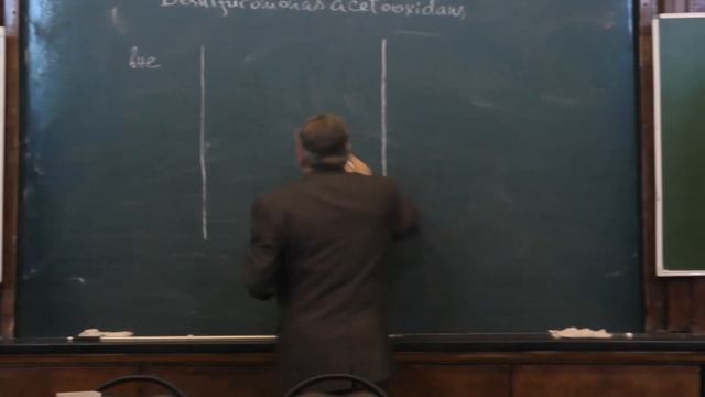 Нетрусов А. И. - Микробиология I - Cероредукторы. Железные бактерии