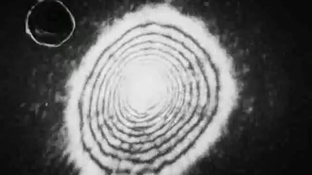 Жидкие кристаллы, Союзвузфильм, 1986