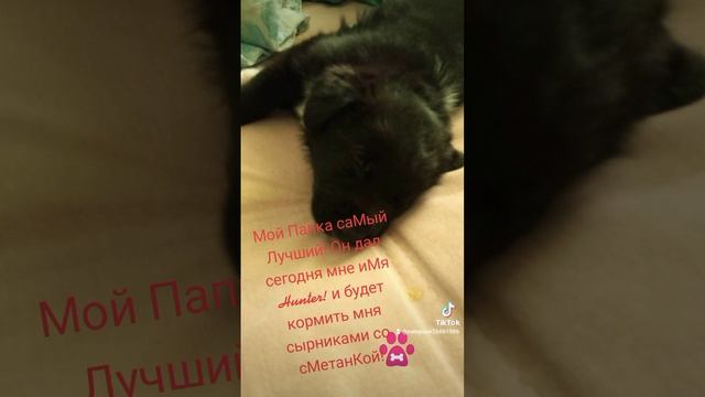 Я очень люблю своего папочку!
