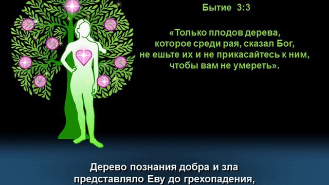 9. Слайды с музыкой. Грехопадение. Плод, дерево жизни, дерево познания добра и зла