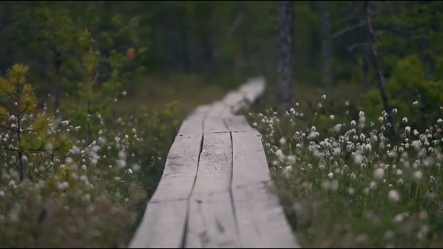 ЮГУ месторождение знаний - 2021.mp4