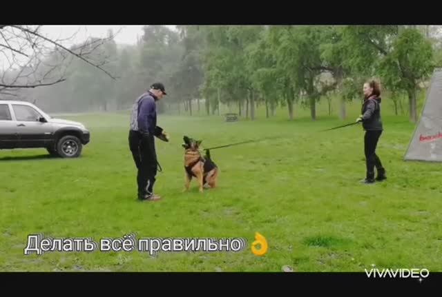 Баларис Штерн, презентация.
Умникча, красавица, звезда.