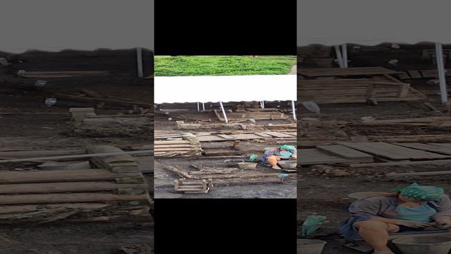 Месяц август