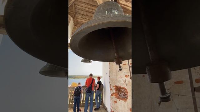 Мышкин с Прохоровыми 2020