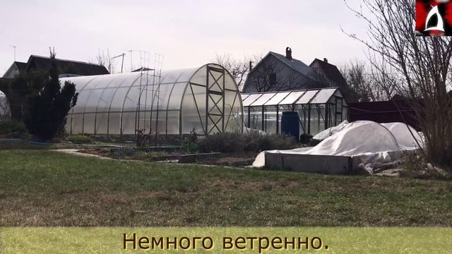 Весенние цветы на дачном участке.