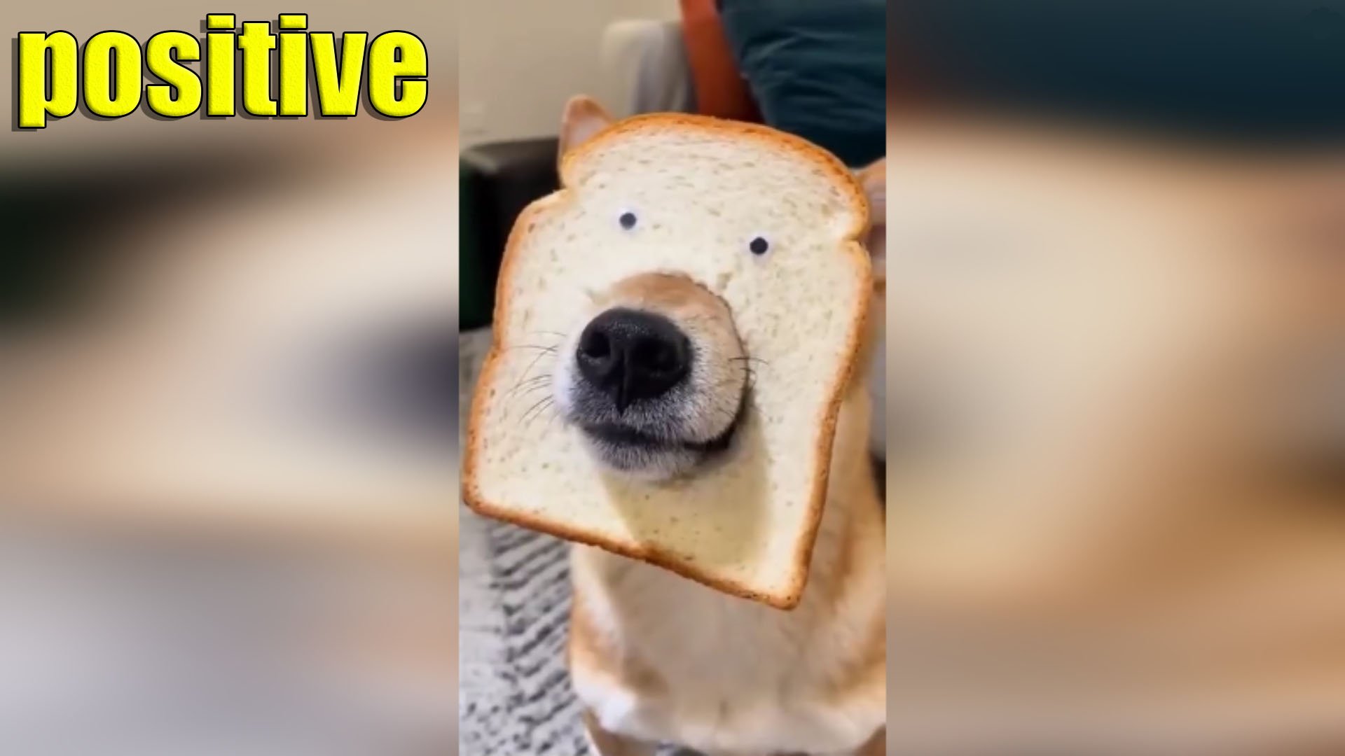 Очередная доза позитива для поднятия настроения #24. У вас все получится!