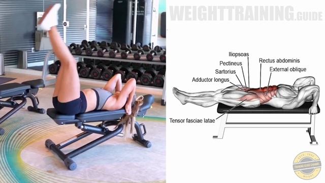 ТРЕНИРОВКА НА СКАМЬЕ ДЛЯ ВСЕГО ТЕЛА — С ГРУЗОМ