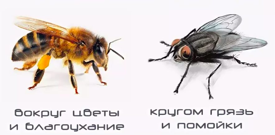 Что такое Эгоизм и Гордыня? Два Мировоззрения: Гордыня и Ученик