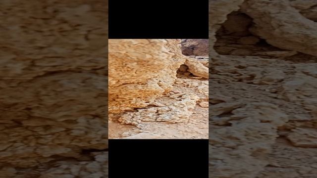 Красное море, Египет , Шарм , Шарм эль ШЕйх