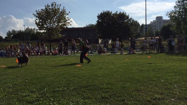 Бакурова Елена и бордер колли Мышь.mp4