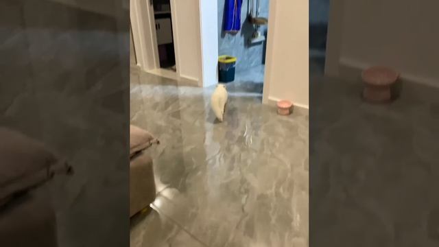 Что-то нашёл