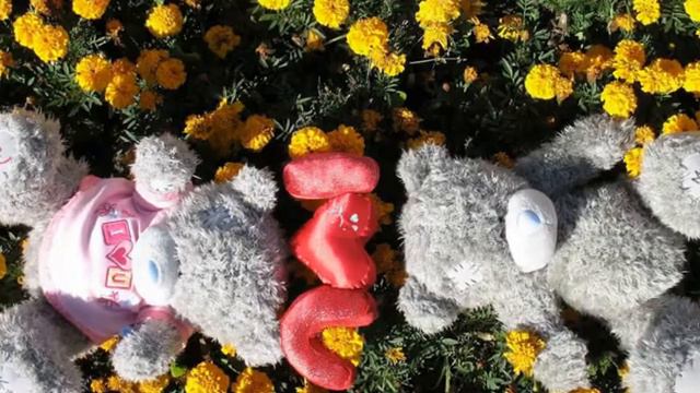 МИШКИ ТЕДДИ