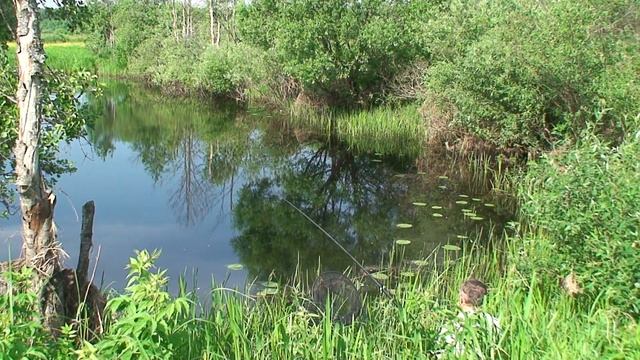 2013 06 04 не клюет больше в озерке.mp4