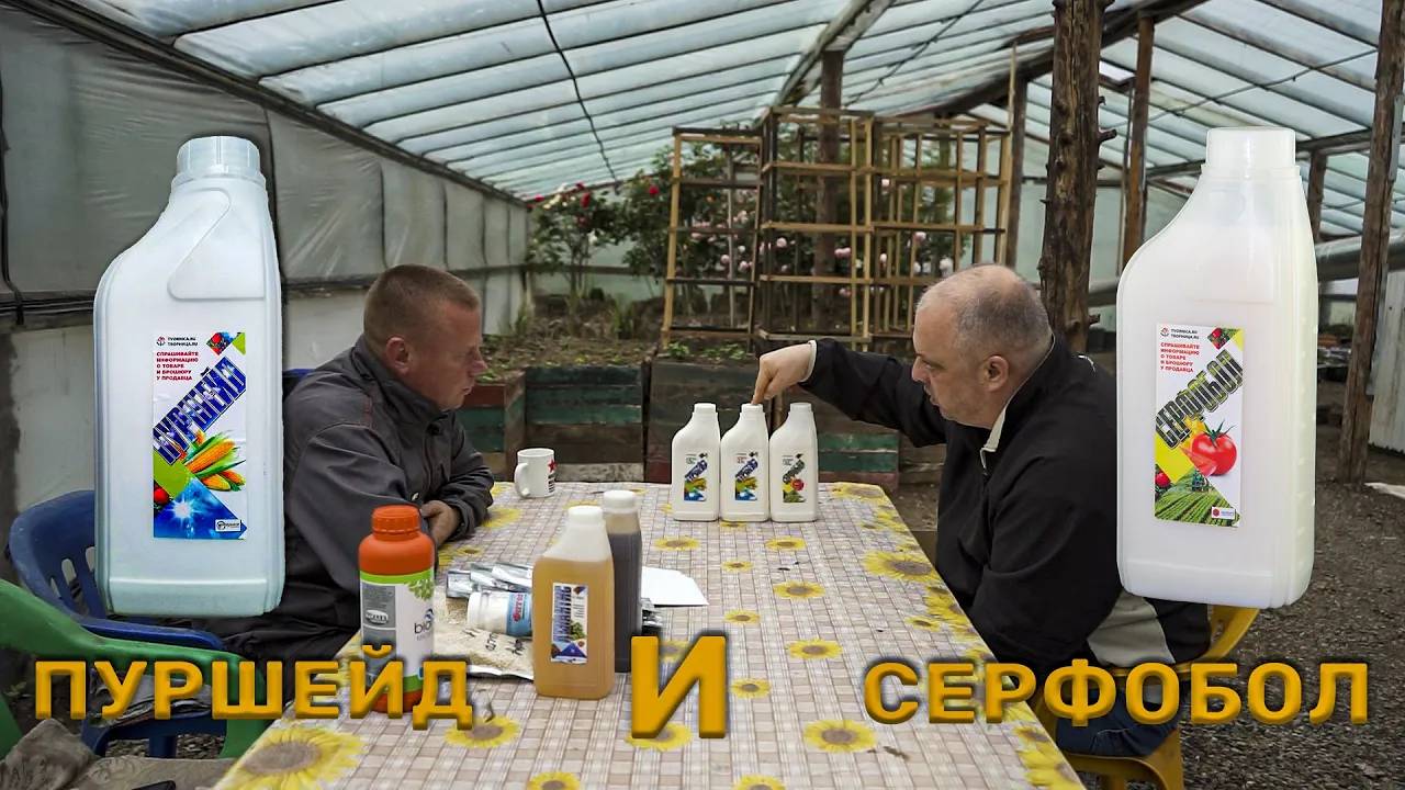 Пуршейд и Серфобол для выращивания самой большой тыквы🎃