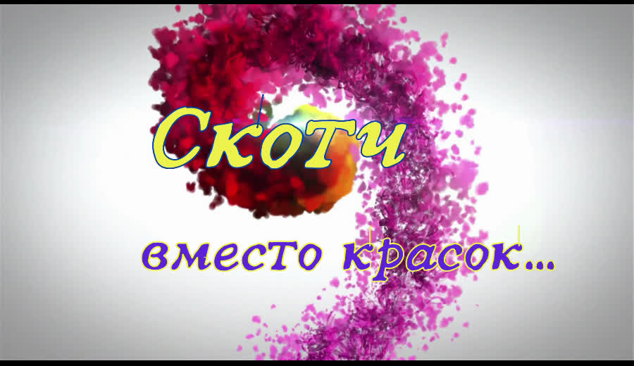 Художник Макс Зорн: скотч вместо красок...