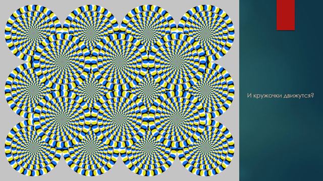 Топ-5 оптических иллюзий для ОБМАНА детей