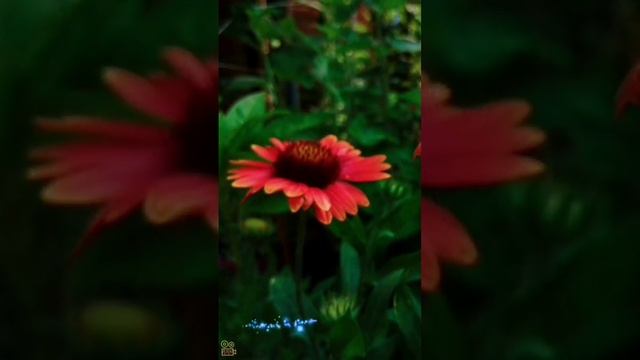 Хорошего нового дня