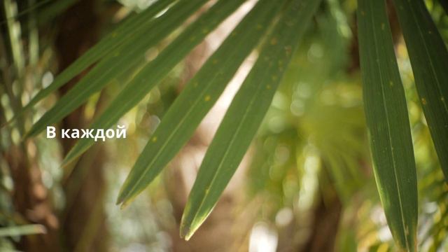 Климатические Зоны Земли