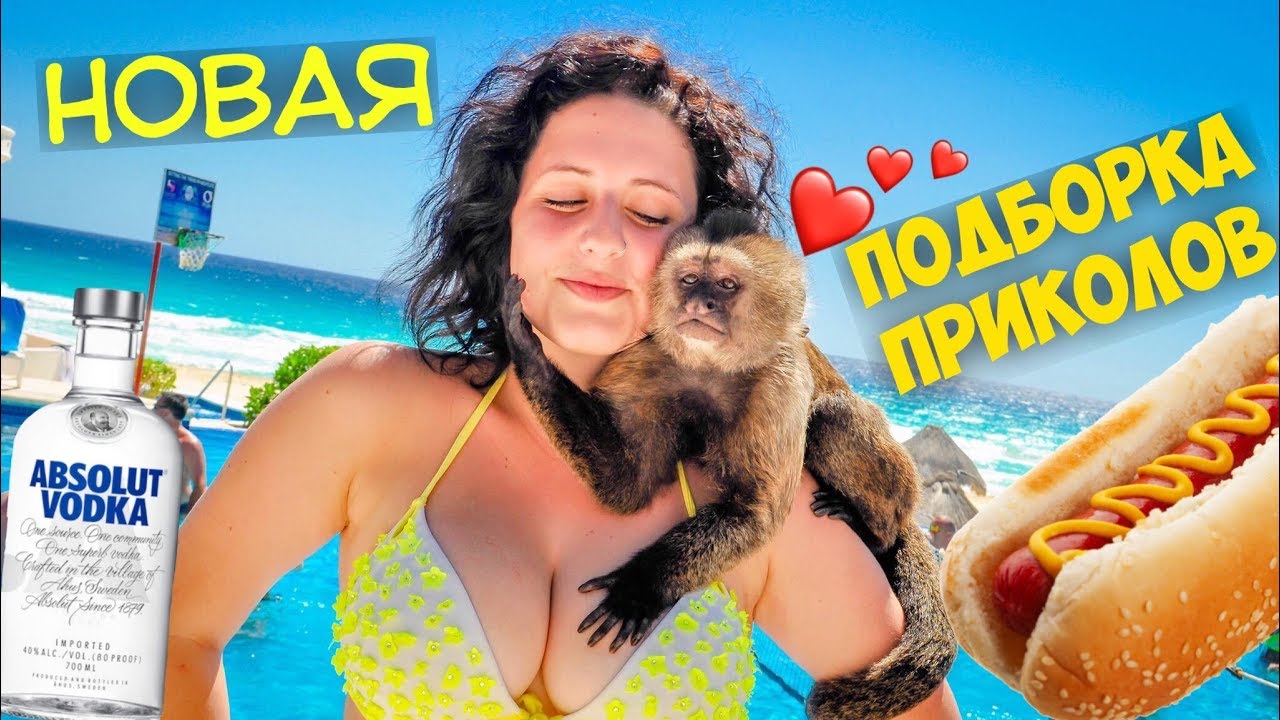 Лучшие Приколы 2022 Смешные видео - Я РЖАЛ ДО СЛЕЗ / Лучшие Приколы #129