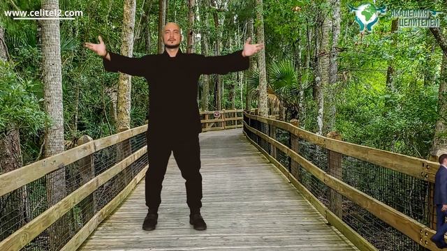 5 мин для восстановления сердца. Дыхательная практика из комплекса цигун. К.Перо. Академия Целителей