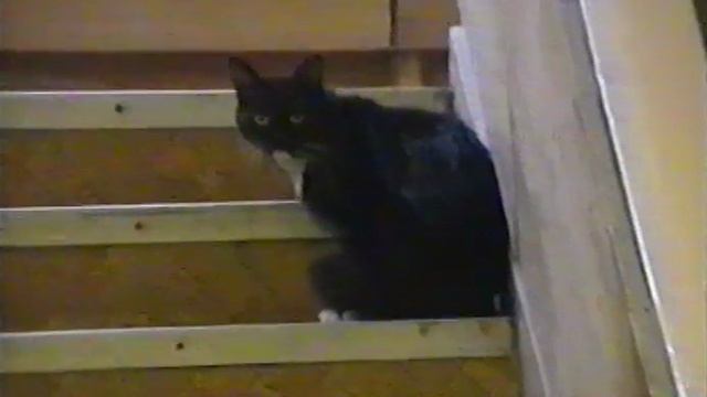 ДК 22.07.1997 Z.mp4