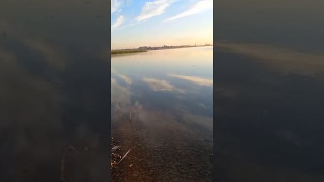 утренняя рыбалка .тишина и благодать .только нарушает эти тишину гул рабочего карьера