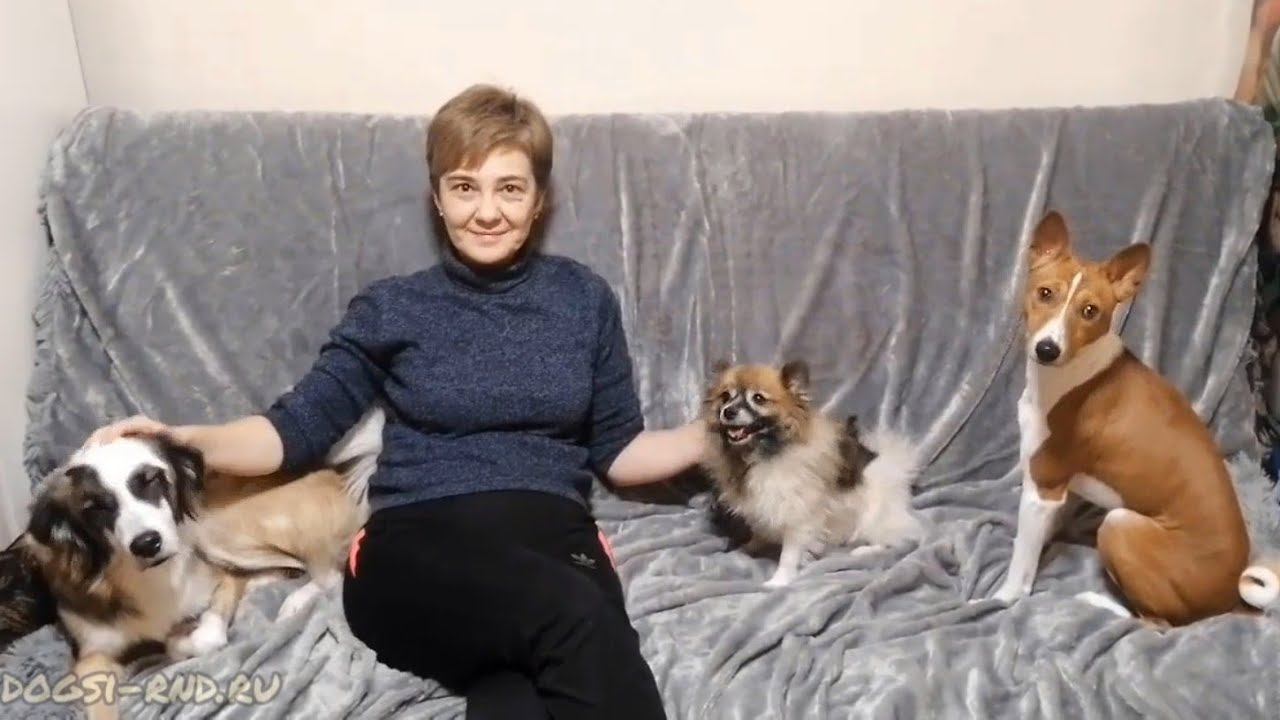 Новости! Мы теперь есть в Дзен и в Телеграм. Подписывайтесь по ссылкам в описании