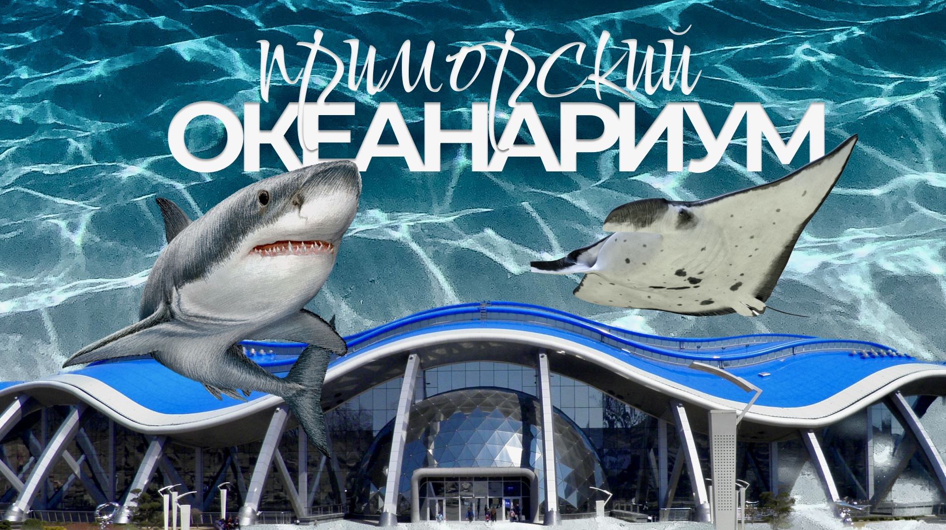 Приморский Океанариум самый большой в России!