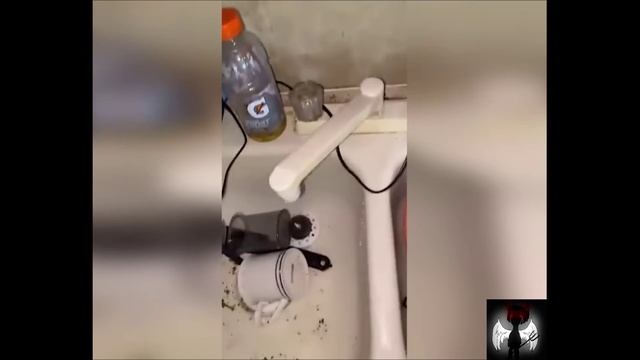 Смех до слёз №1