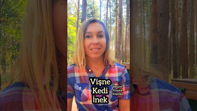 Турецкий Язык Как Правильно Читать I и  İ