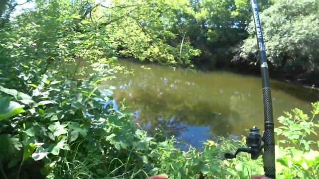 Летняя рыбалочка 2022 - часть 1. Блог из деревни "В гостях у Владимира"