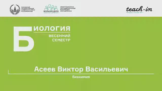 8. Трансляция. Энергетический обмен. Общая биология - Асеев В. В. Teach-in.