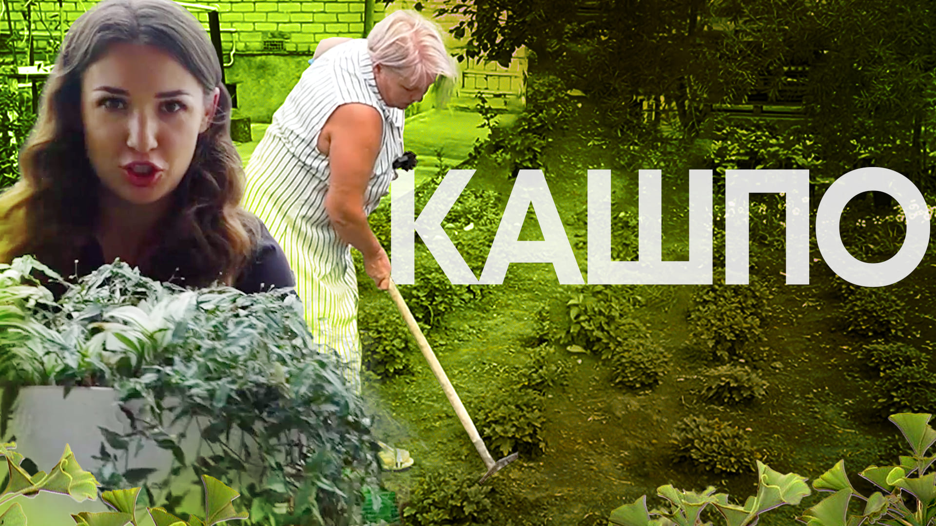 Кашпо на заднем дворе. Как обустроить красивый летний (и не только) сад у себя на участке?
