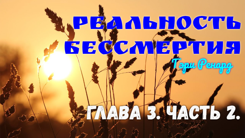 РЕАЛЬНОСТЬ БЕССМЕРТИЯ. Гэри Ренард. ГЛАВА 3. ЧАСТЬ 2.