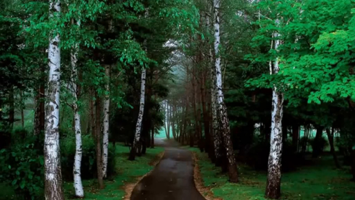 отговорила  роща золотая