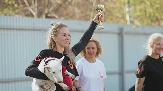 Миниатюрный бультерьер Йоши на соревнованиях по пит-стафф многоборью