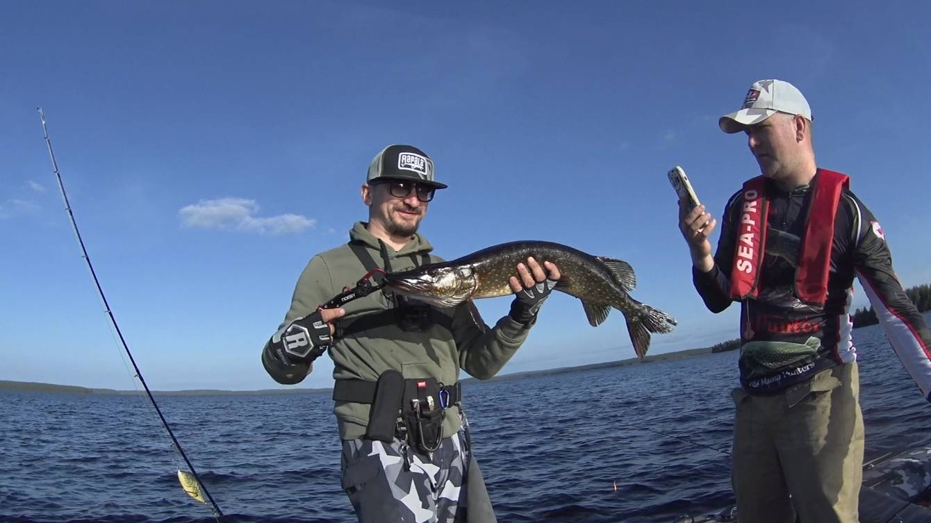 Рыбалка в Карелии 2024 . Август . Раздача окуня и щуки . Лодка 330 Мотор 6.2 Gladiator