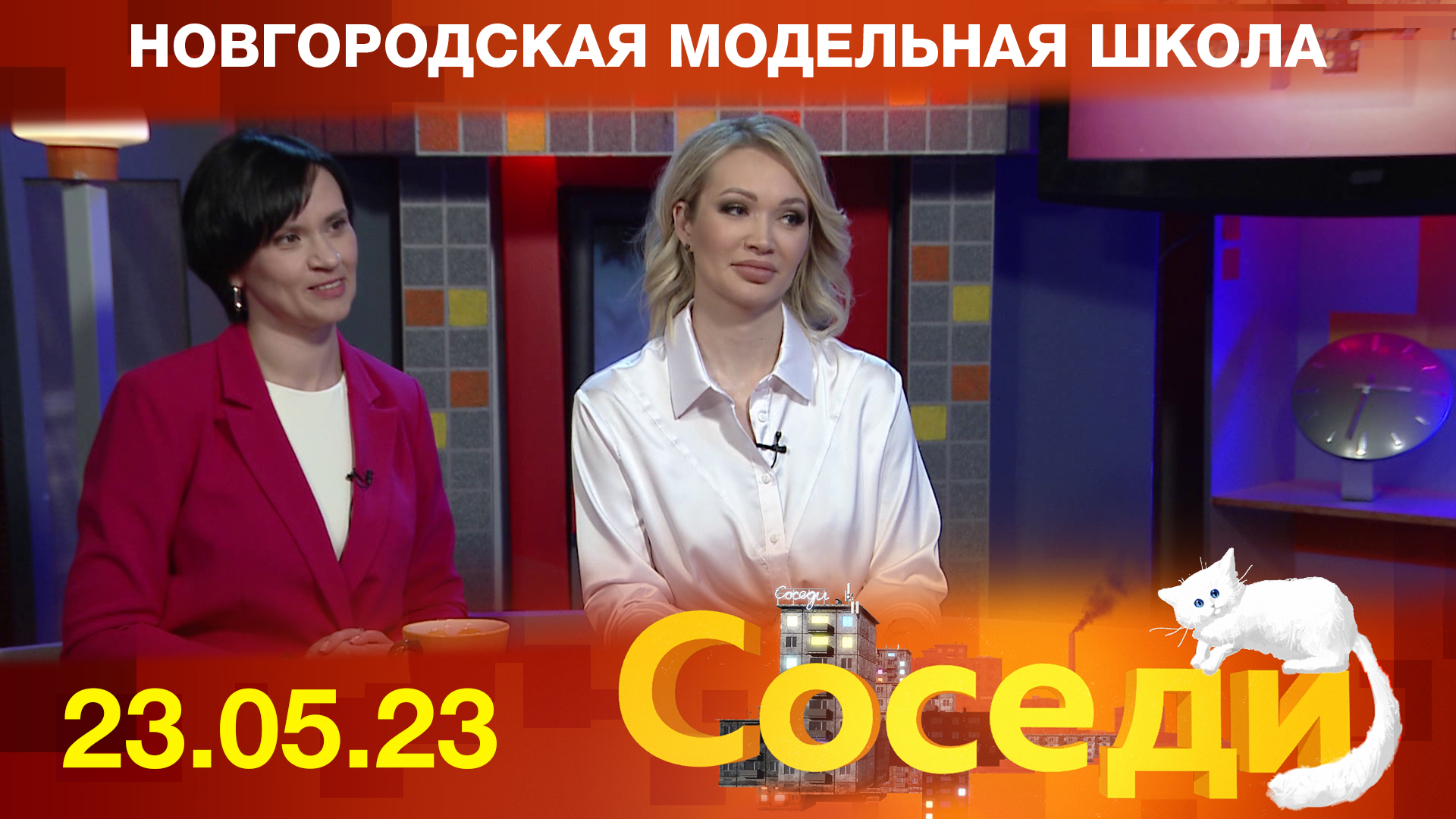 Новгородская модельная школа. Соседи