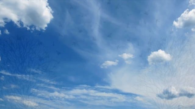 Притча "Два зерна"