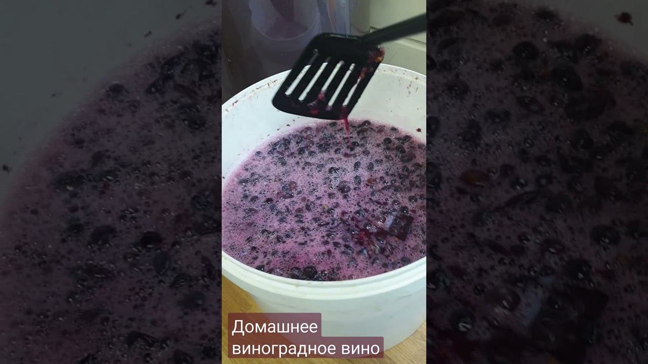 Домашнее виноградное вино