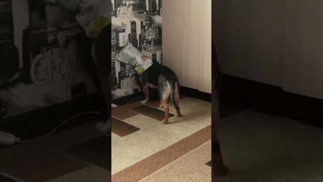 НАКА?Не смотри в мою сторону