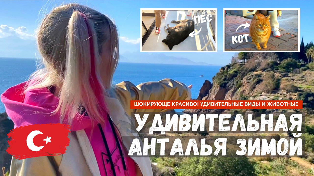 Анталья или Аланья - что лучше? Турция зимой самостоятельно. Котики. Мужчина застрял в скале